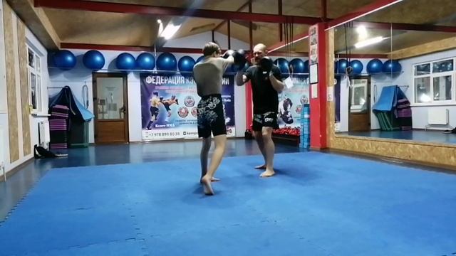 Индивидуальная тренировка на лапах. Руслан