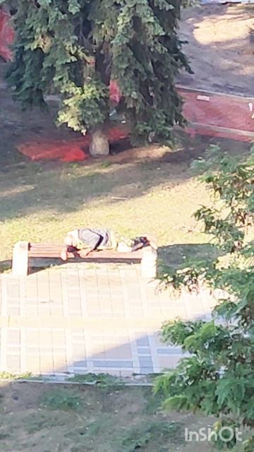 Мне они мешают по ночам.