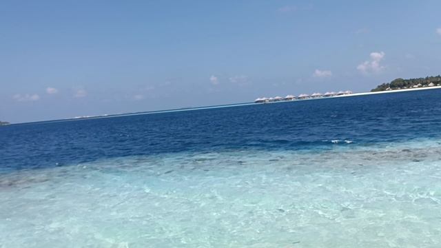 На берегу острова Донфану, Мальдивы, январь 2026 (Dhonfanu's Coast, Maldives, January 2026)