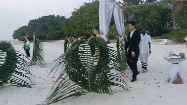 Свадьба на пляже, Камаду, Мальдивы, январь 2026 (Wedding on the Beach, Kamadhoo, Maldives, Jan'26)