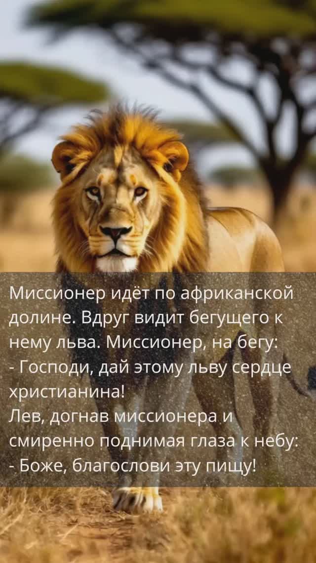Христианский юмор. Миссионер и лев