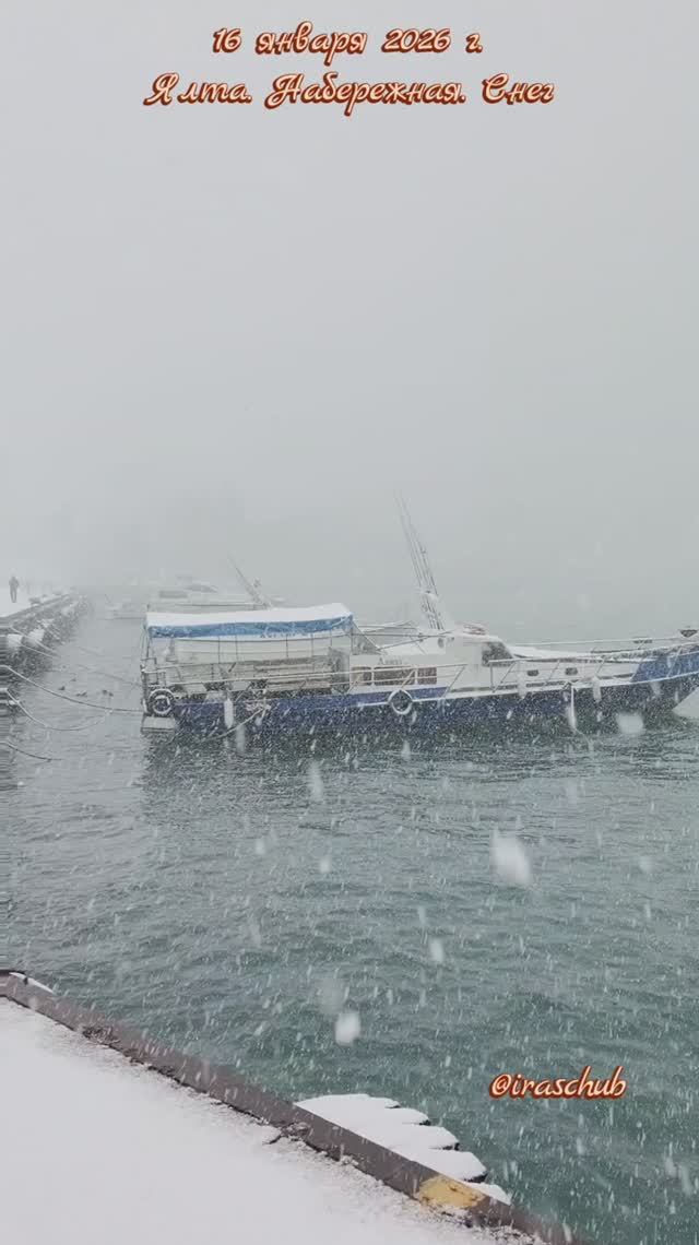 16 января 2026 г. Ялта. Набережная. Снег #ялта #ялта2026 #снегопад