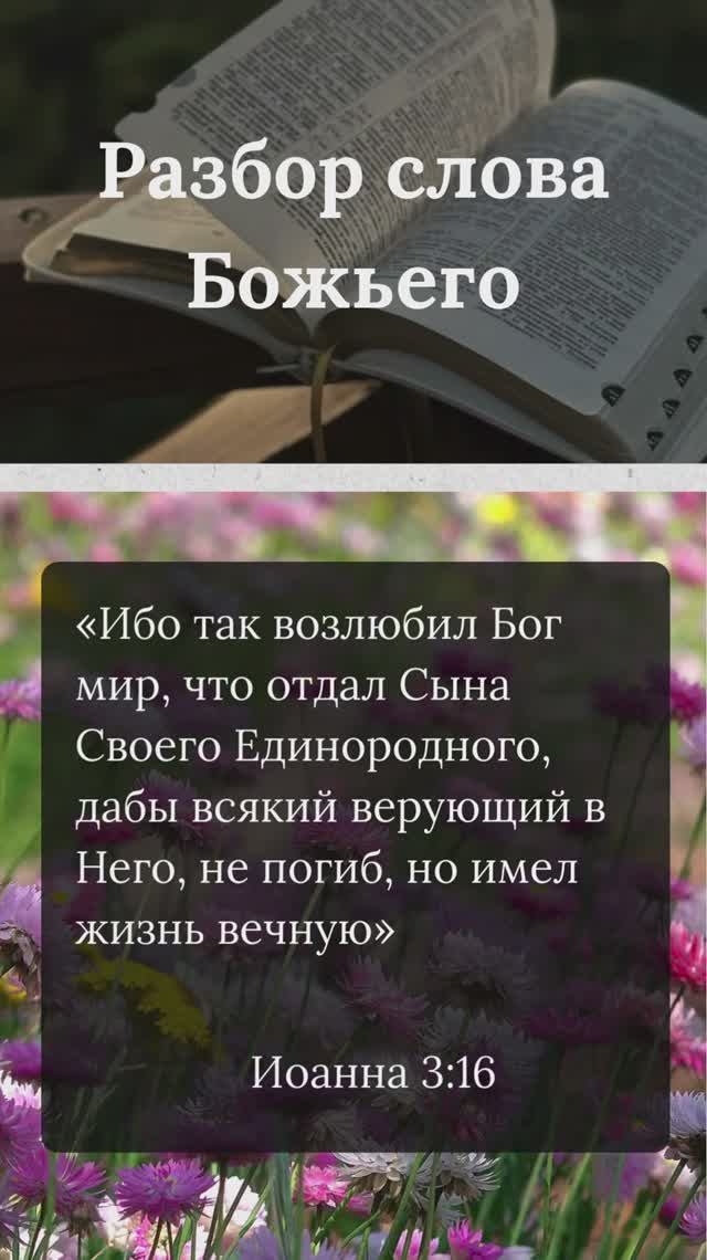 Разбор слова Божьего (Иоанна 3:16)