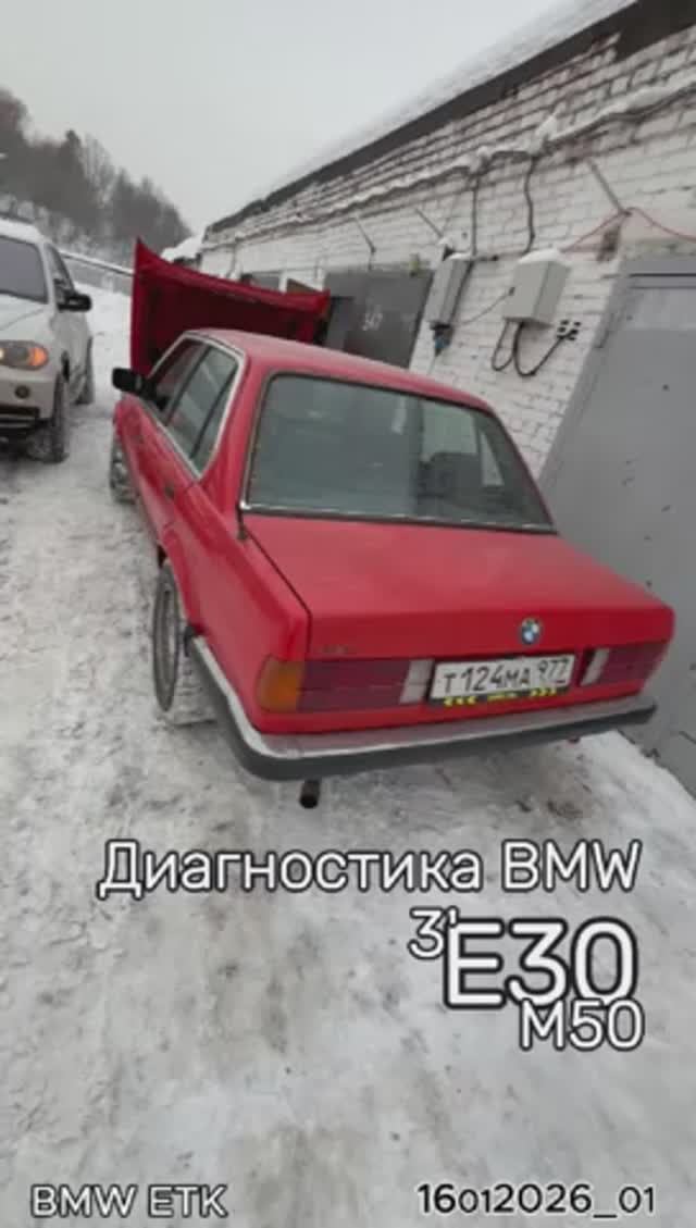 Диагностика bmw e30 m50