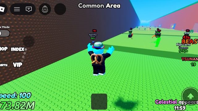 Сбеги от цунами и спаси брейнрота в Roblox