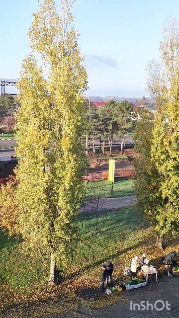 14 ноября 2025 Ейск.