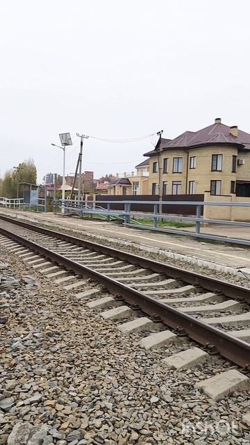 11. 11. 2025 Ейский Лиман