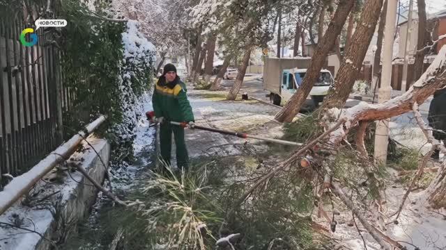 Коммунальщики  устраняют поваленные деревья и обломанные ветки.