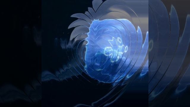 Аурелия ушастая