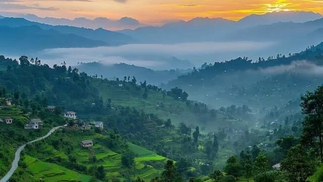 Охотник на крабов