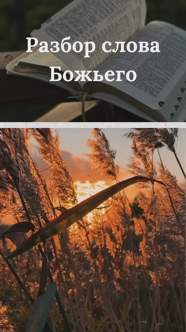 Разбор слова Божьего (к Галатам 4:4-5)