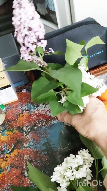 Наломала сирени.