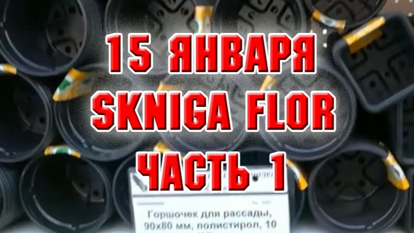 ОБЗОР МАГАЗИНА SKNIGA FLOR ч 1
