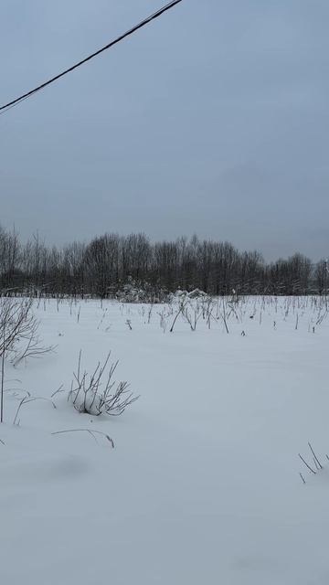 Продается участок 11 соток в ДПК Березовый Рай (рядом с дер. Полиносово), Александровский р-н.