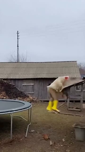 Прикол от нейросети