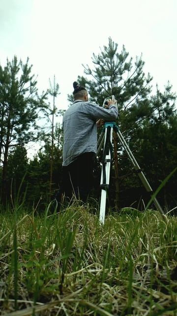 Деревья на участке