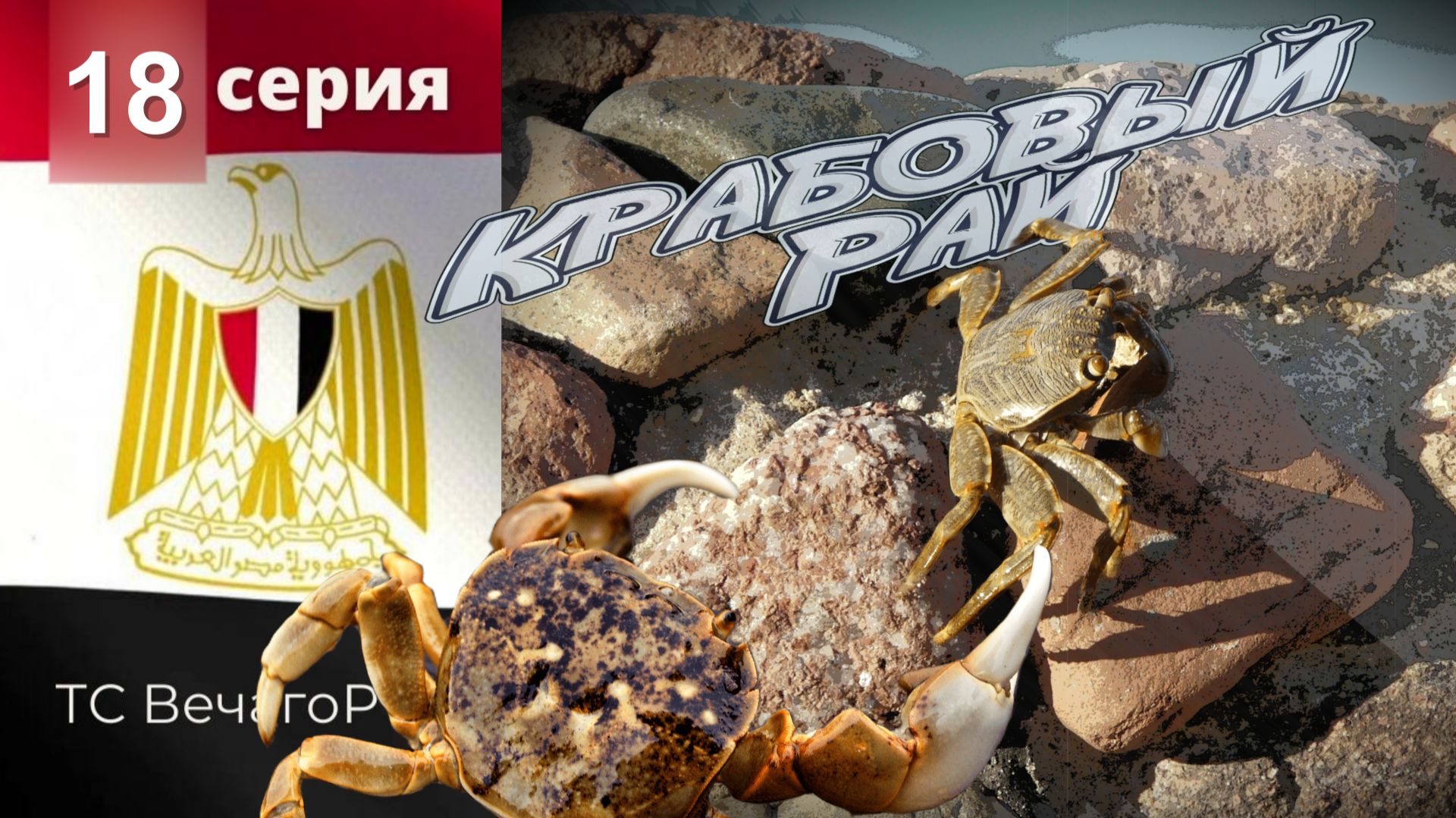 Подводный мир & Аборигены Красного моря в Хургаде.