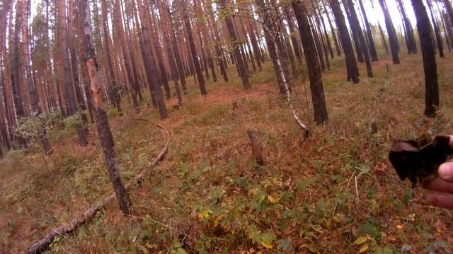 Забытая дорога-2