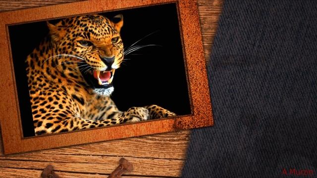 2Illusions - Spring Day