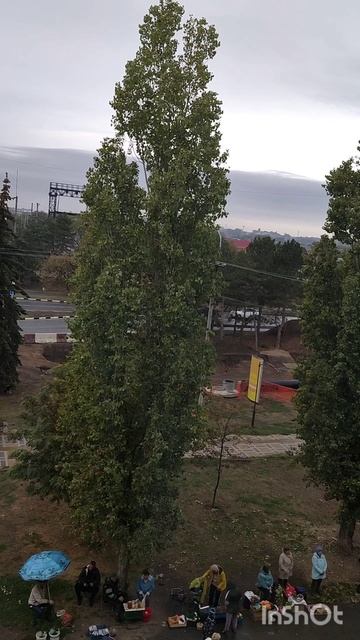 Осень наступила.