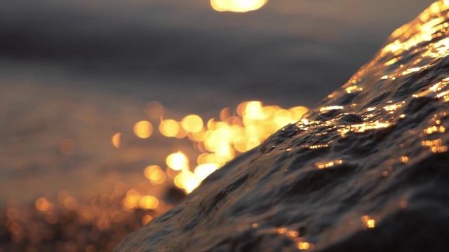 «Ты — свет Христов!» -  NEW MSD Music Laboratory