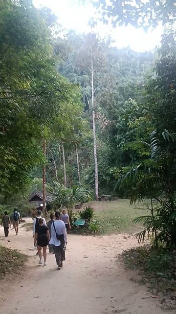 Выход к туристической стоянке в Као Сок, Тай (Coming to Rest Place for Tourists in Kao Sok, Thai)