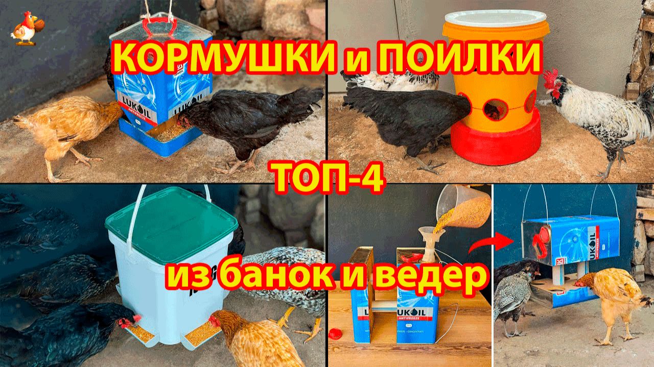 Кормушки и поилки для кур ТОП-4 удобных варианта из банок и ведер понравились несушкам ❣️🤗😂