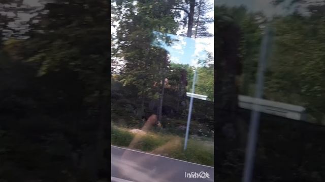 ПроПутешествия.Питер2024.Фильм31.Серия3