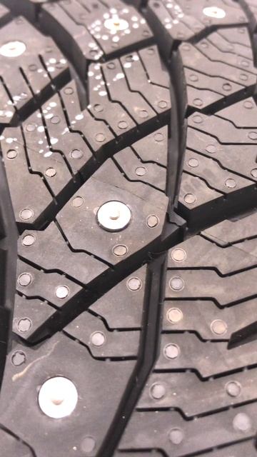 Triangle IceLynx TI501 - китайские зимние шины