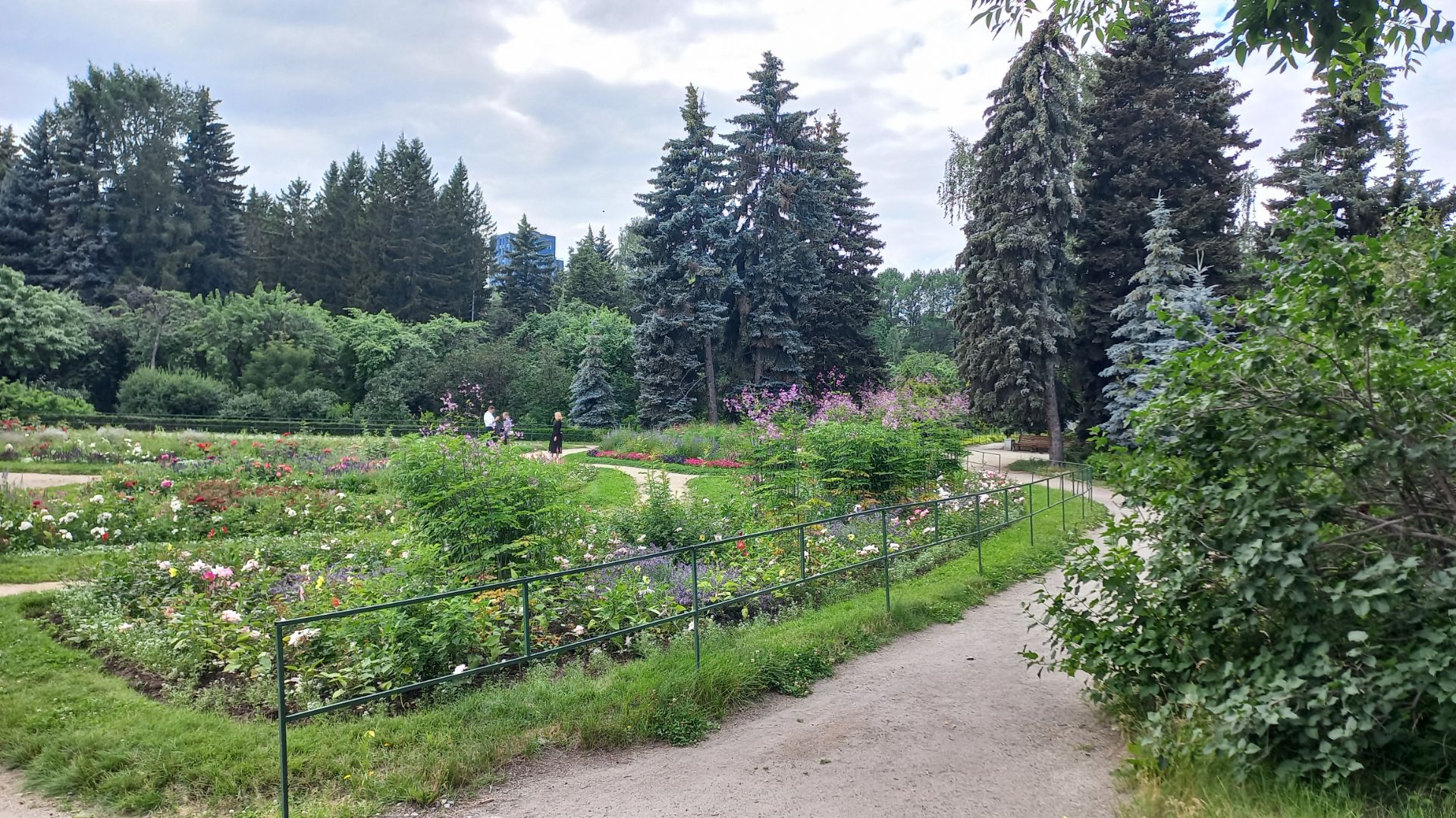Екатеринбург. Дендрарий. УРФУ. Оперный театр. Карла Либкнехта. Прогулка 16.07.24