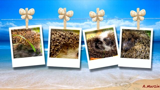 Alexander Karshkov - Tree of Life