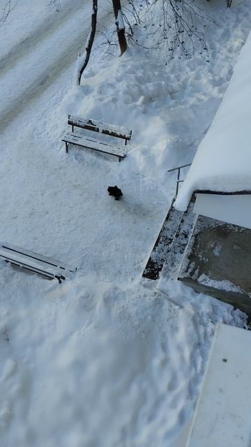 PXL_20260117_140052785