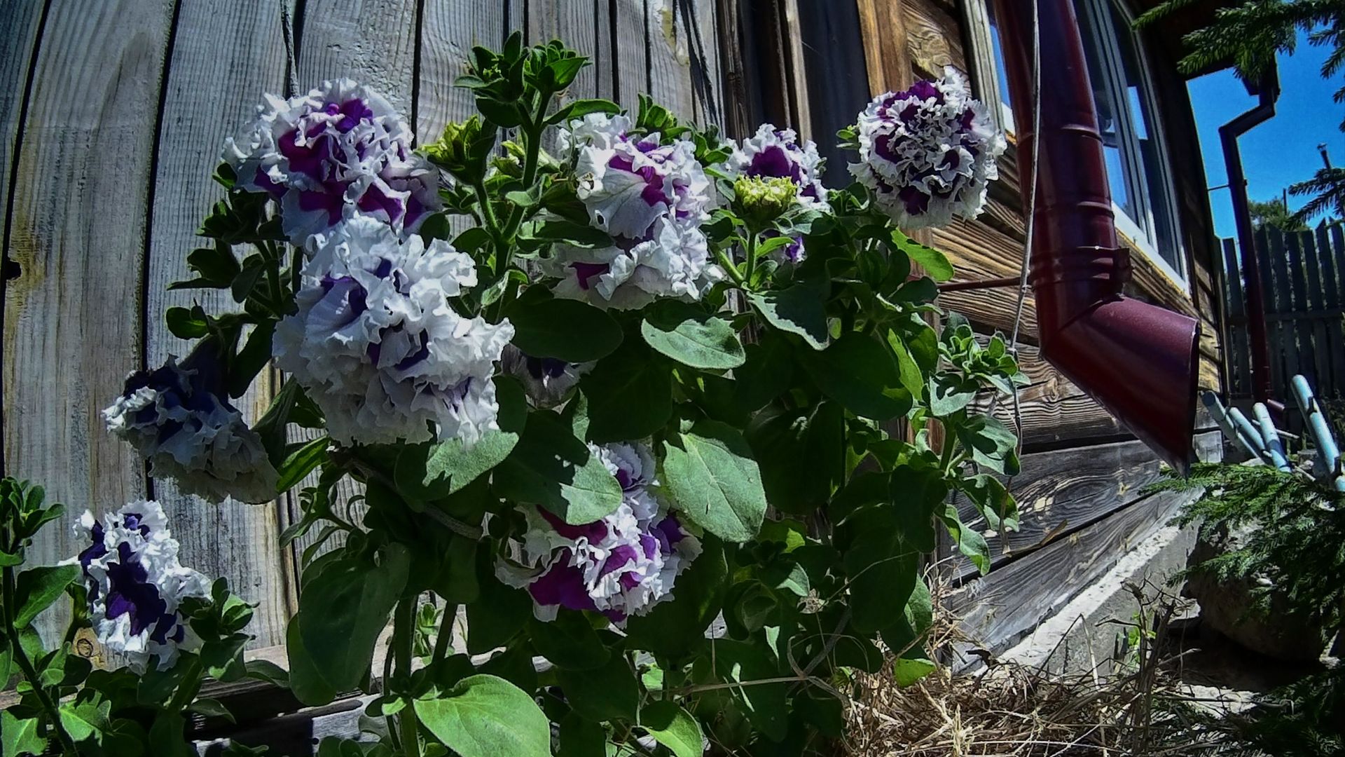 Снято в 2015 году! Премьера! Выполняю своё обещание показать видео в 2026-м