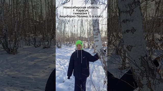 школа№1 Анциборко Полинв,