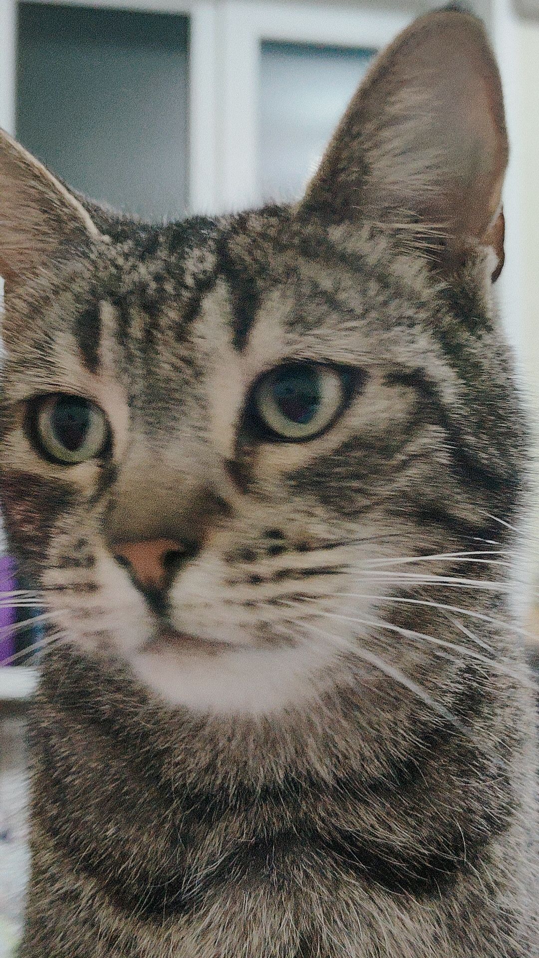 Новогодний подарок