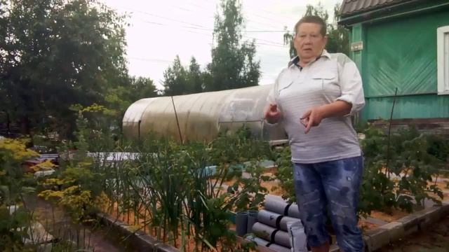 07 июля 2025. Экскурсия по теплицам.