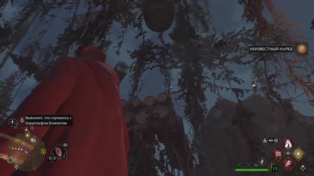 И на PS4 бывают жесткие баги Хогвартс Наследие