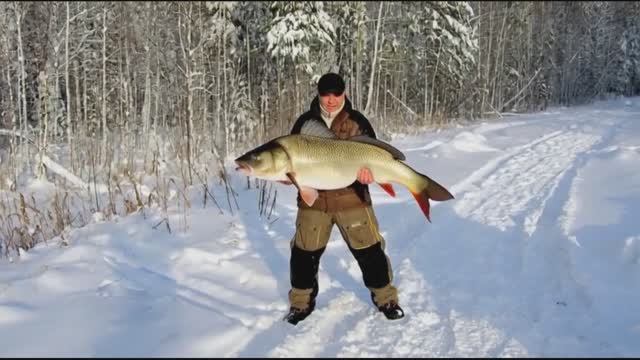 Оживление фотографии №109