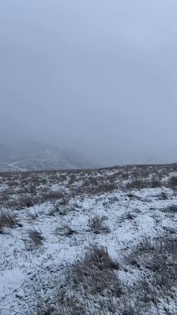 Зима в Коктебеле — снежное чудо на плато Тепсень