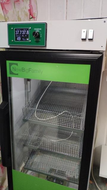 Защитите свой инкубатор