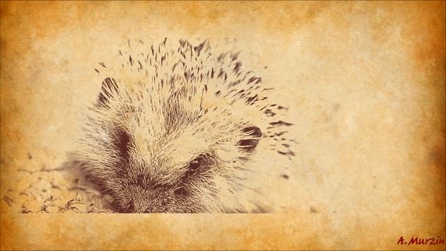 Alexander Karshkov - Autumn (2011)