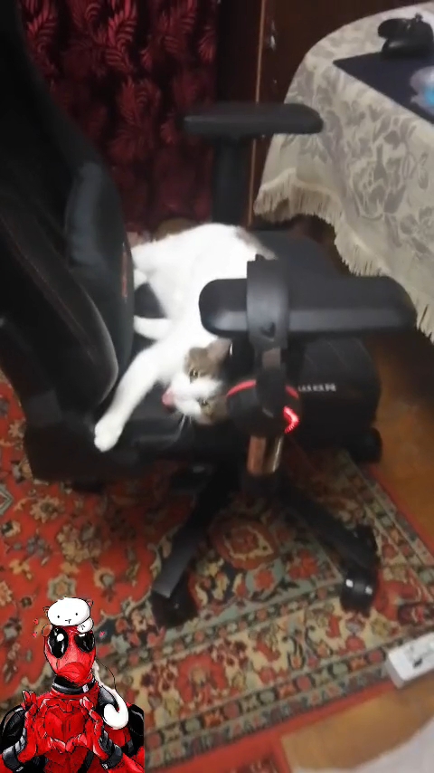 Мурзик и Дядя Пулъ из Прошлого ⚡ 2023 Год😼🫶😎