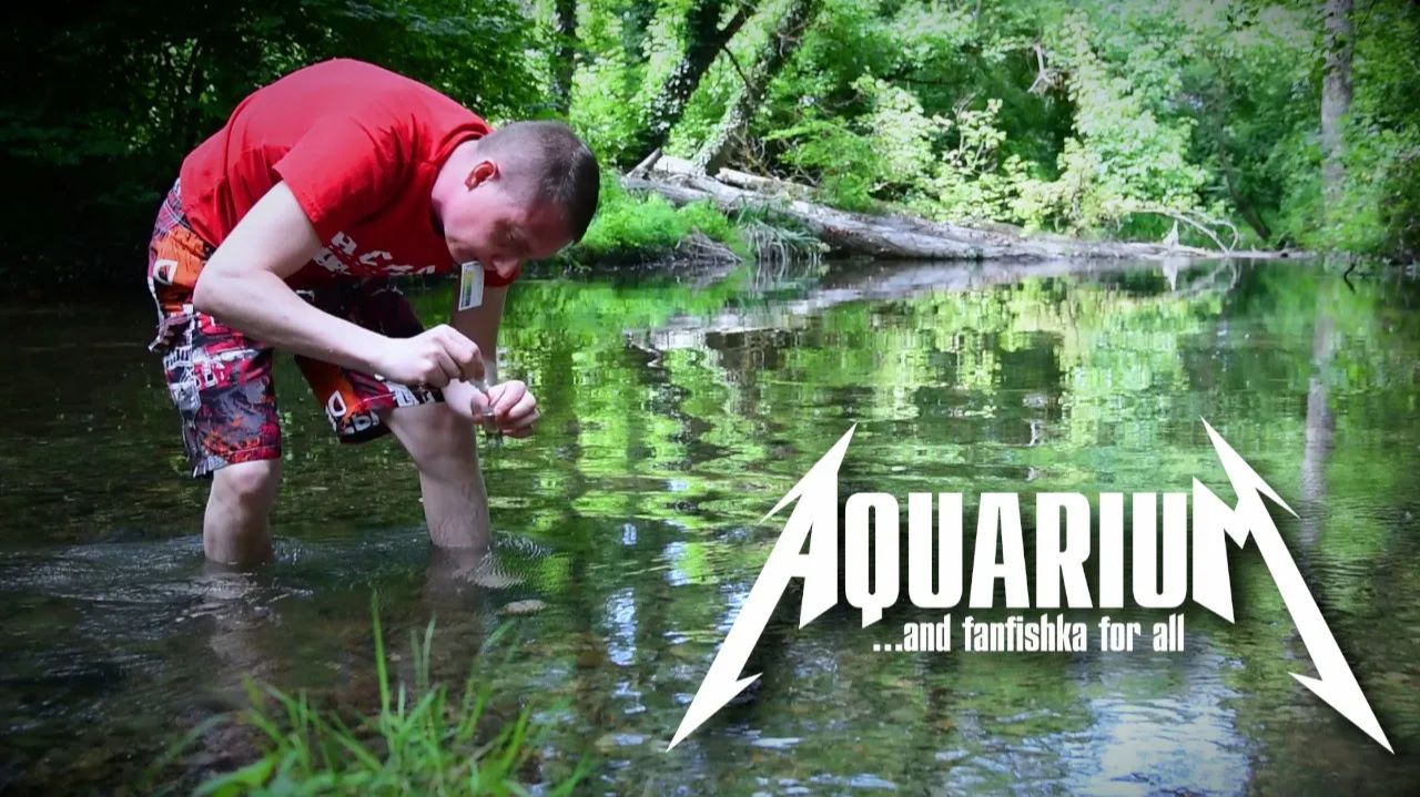 Теодоксусы: параметры воды в биотопе?