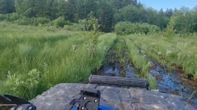Адреналинчик идет, просто прём по болоту на квадроцикле - The adrenaline is pumping, just cruising