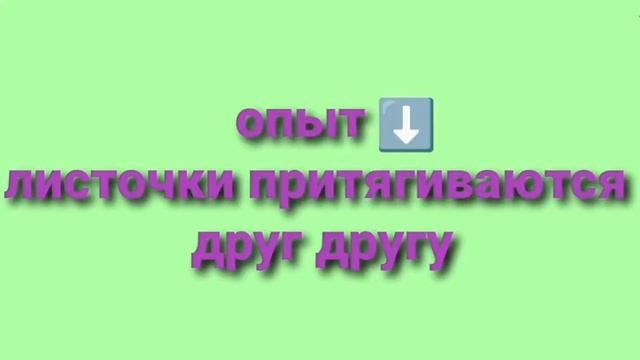 Физика. Листочки притягиваются...