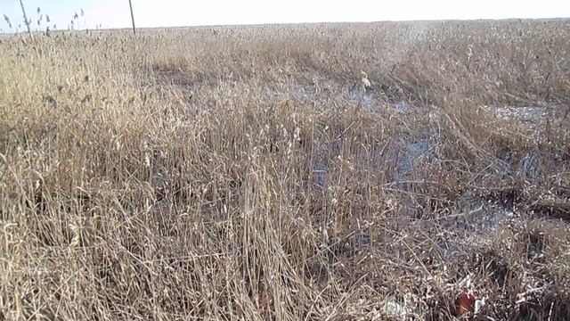 Видео Деревни