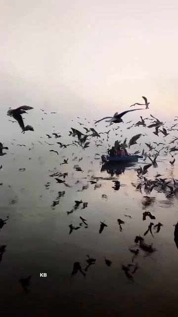 #видео #katyboro #рекомендации #топ #врек #врекомендации #2026