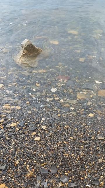 Плеск морюшка