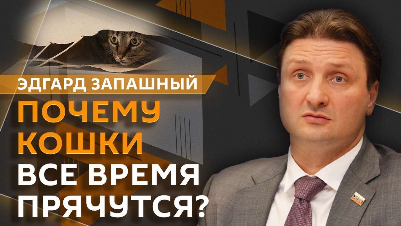 Эдгард Запашный и Нина Ватт. Животные в цирке, спасение кота, фламинго в Крыму, питомцы из приютов