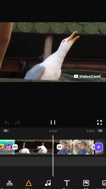 Смех для видео